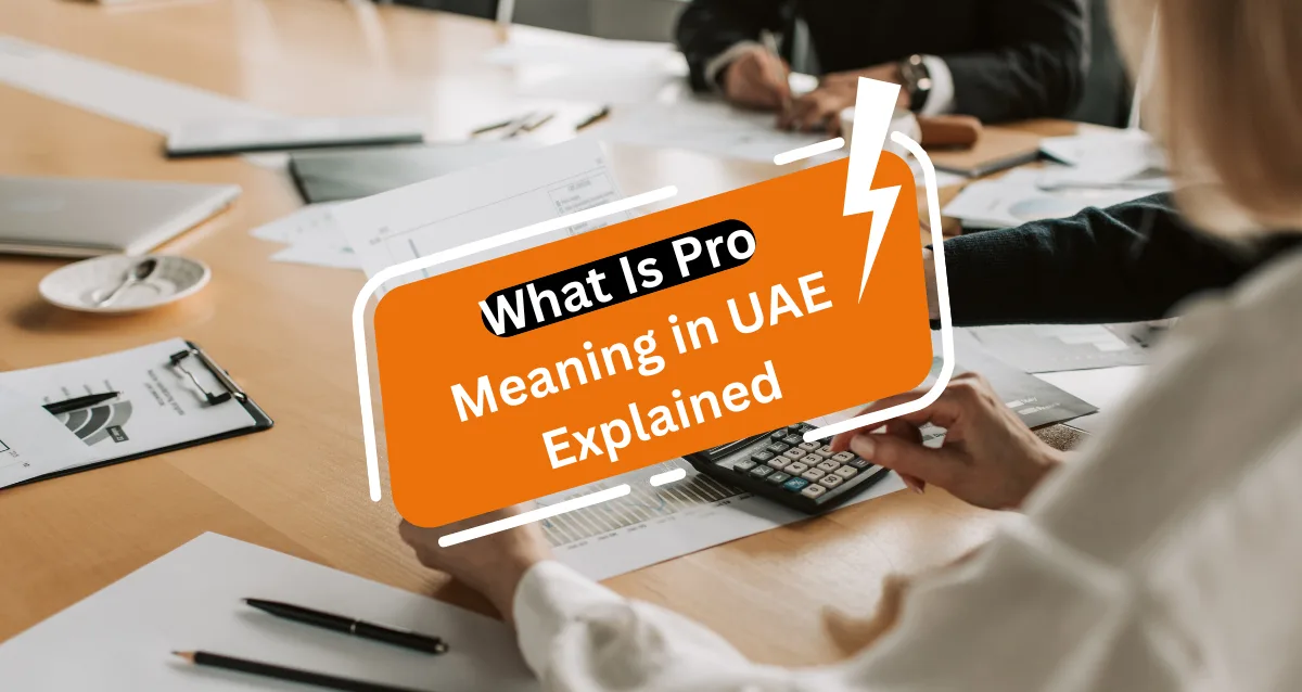What Is Pro Meaning in UAE Explained | Flyingcolour