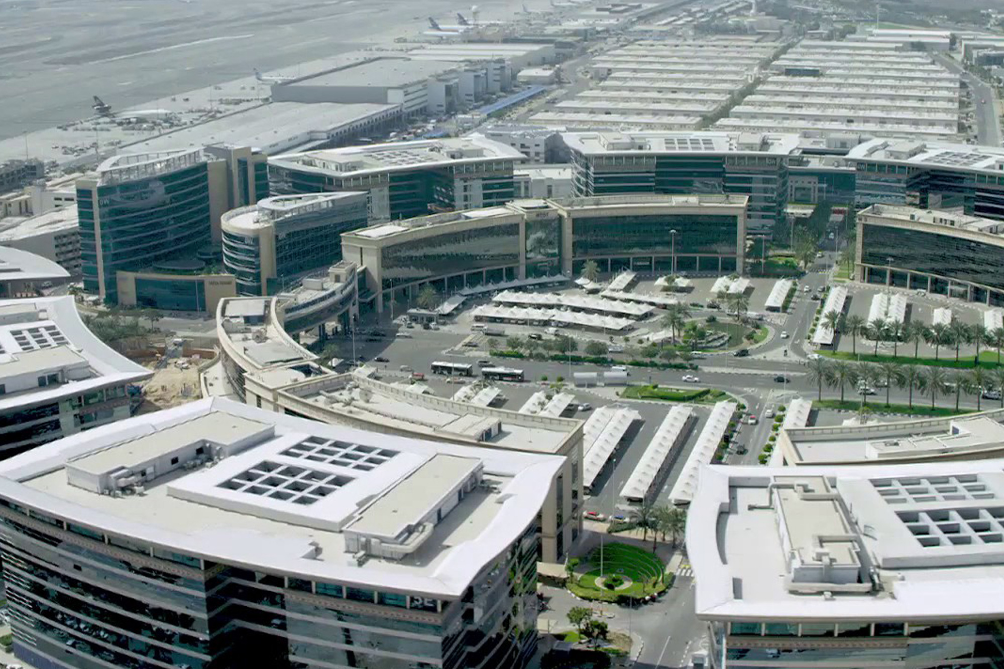 Things to consider before registering your company in a free zone area