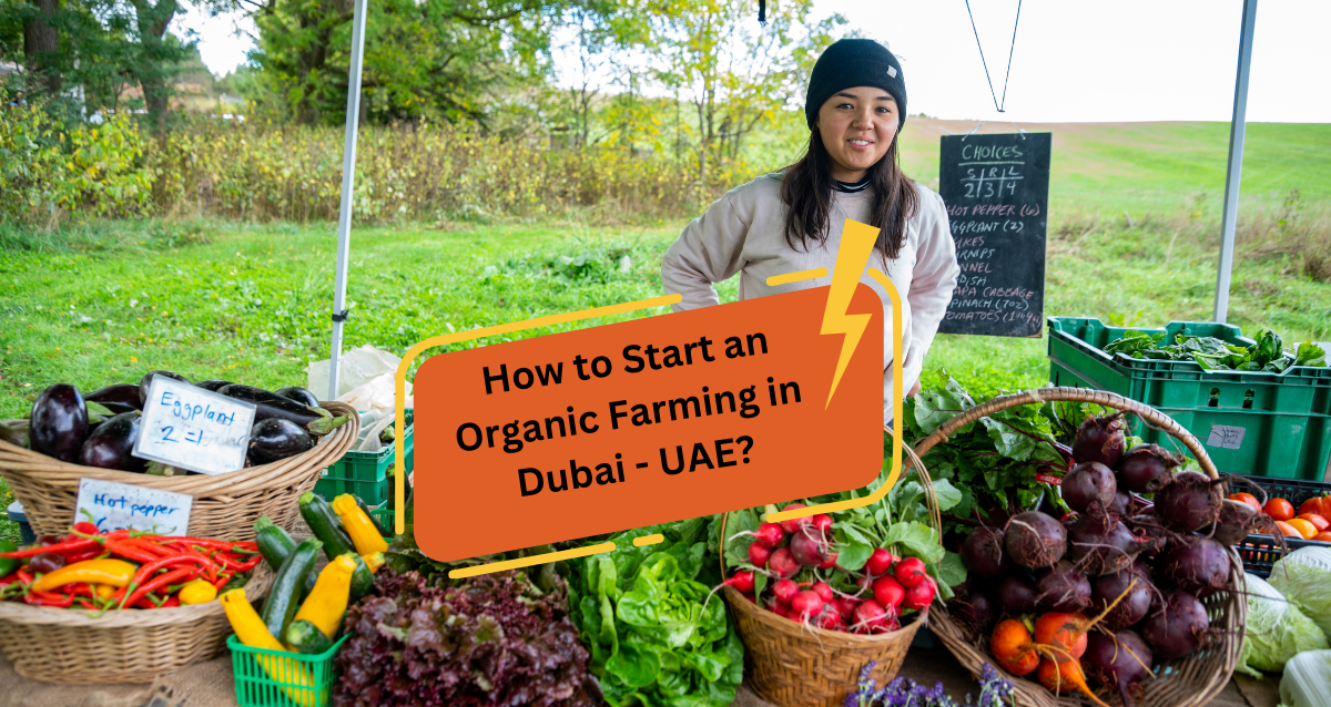 Start an Organic Farming in Dubai, UAE | Flyingcolour